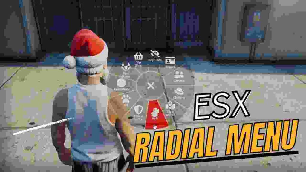 esx radial menu - esx scripts