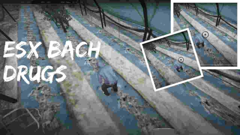 Esx Bach Drugs - esx scripts